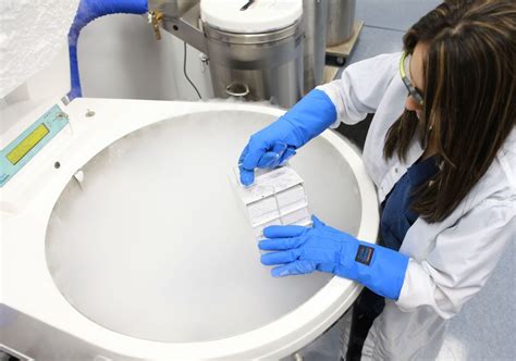 What Is Stem Cell Preservation 5 Reasons To Preserve