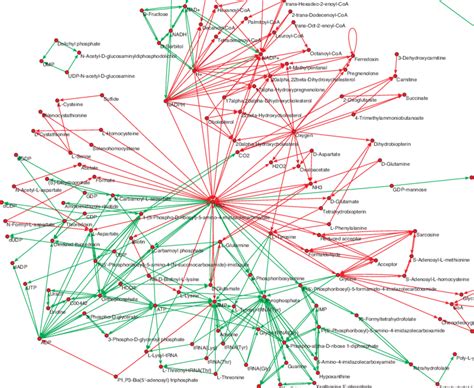 2 A Directed Metabolic Graph Produced From Microarray Data Of Gene Download Scientific Diagram