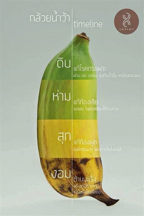 กล้วยน้ำว้า ดิบ ห่าม สุก งอม อาหารเพื่อสุขภาพ
