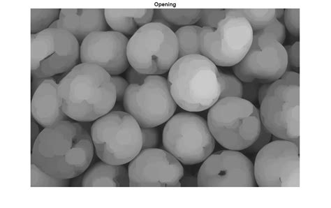 Marker Controlled Watershed Segmentation