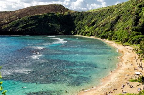 하와이 오아후 섬 일주 프라이빗 투어