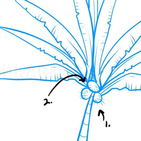 How To Draw Palm Trees Step By Step Drawing Guide By Dawn Artofit