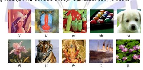 Figure 1 From Performance Comparison Of Wavelets Generated From Four Different Orthogonal