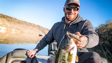 Sinking A Staysee For Winter Bass Major League Fishing