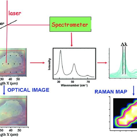 Lattice Phonon Raman Spectra Of The Two Polymorphic Forms Of Pentacene Download Scientific