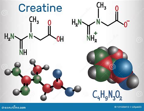 Creatine Molecule Structural Chemical Formula And Molecule Mode Vector Illustration