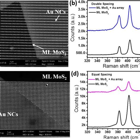 Lumerical Fdtd Simulation Results For Au Plasmonic Arrayml Mos 2 Sio