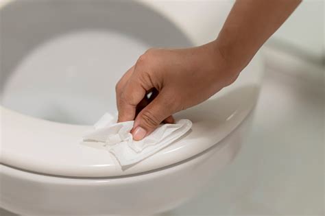 깨끗하게 유지하기 위해 사용하기 전에 화장실을 닦는 여성 가정의 방에 대한 스톡 사진 및 기타 이미지 가정의 방 개념 개념과 주제 Istock