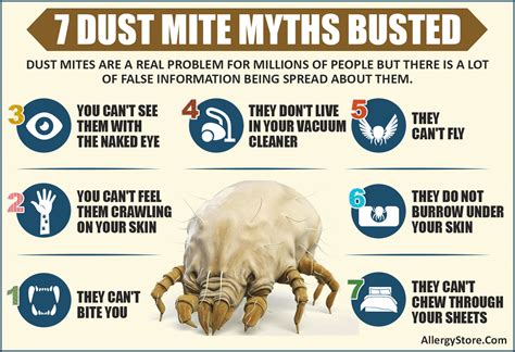 Does My Bed Have Dust Mites At Ronnie Baker Blog