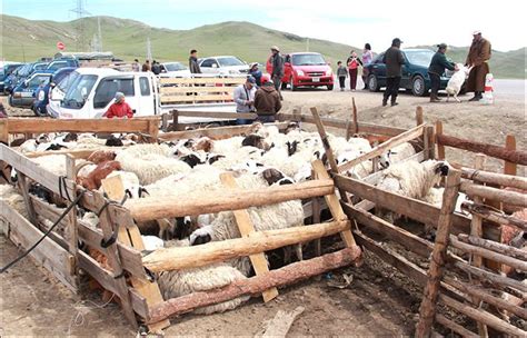 Малын бүртгэлээр дамжуулан мал малын гаралтай түүхий эдийн мал эмнэлэг ариун цэвэр эрүүл ахуй