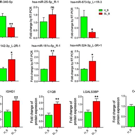 Technical Validation Of Sequencing Data Six Mirnas And Four Proteins