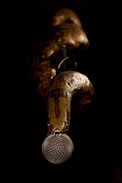 Iris Schieferstein Taxidermy Art Dazed