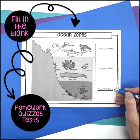 Oceanic Zones Printable