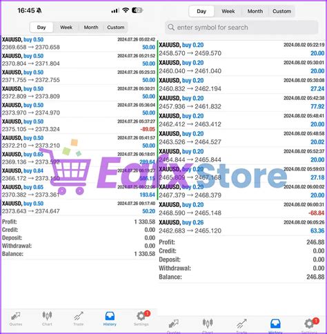 Flip Bot MT4 MT5 With SetFiles Official FREE DOWNLOAD