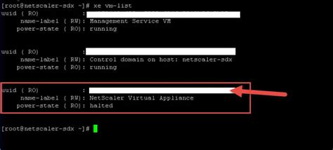 How To Delete A Hidden Vpx Instance On A Citrix Netscaler Sdx Using Xenserver Command Line