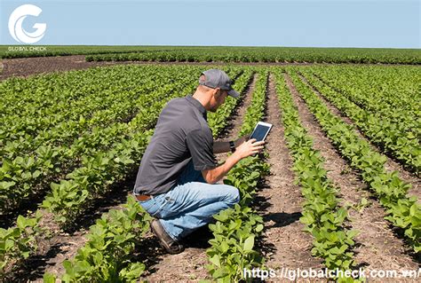 Tại sao nên ứng dụng IoT trong nông nghiệp