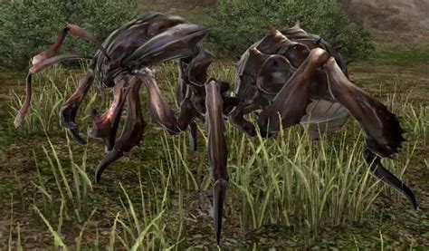 Antling Worker Location Ffxiv Ff14 Hunting Log