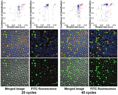 Droplet Detection And Classification Results In Image Analysis Of
