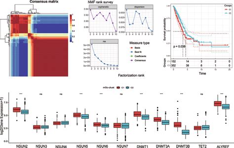 Identification Of M 5 C Modified Subtypes A Consensus Map Of Nmf Download Scientific Diagram