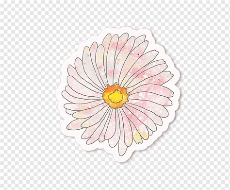 수채화 꽃 국화 수채화 그림 색 수채화 국화 수채화 잎 꽃 배열 컬러 스플래쉬 Png Pngwing