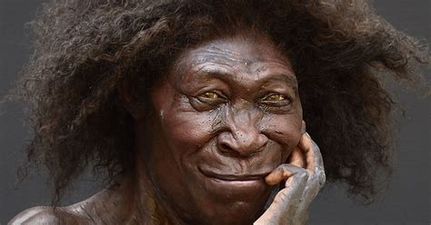 En Förhistorisk Art Gjorde Oss Till Människor