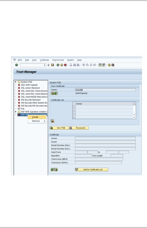 NFE Digital Signature Guide Curso Sap