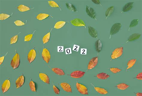 빨강 녹색 노란색 잎은 생명의 움직임이나 평평한 평지의 녹색 배경에 년 개념의 주기와 같은 원을 형성하고 중간에 2022 큐브 0명에 대한 스톡 사진 및 기타 이미지