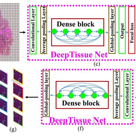 Deep Feature Extraction Processfigurea Is The Original Download