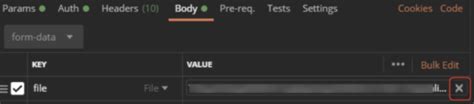 Request Body Panel UI Bug Remove File Button Overlap Issue Postmanlabs Postman App