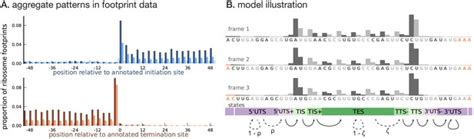 Figures And Data In Thousands Of Novel Translated Open Reading Frames In Humans Inferred By