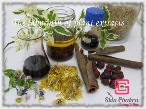 Welcome Into The Labyrinth Of Plant Extracts Part I Swettis Beauty Blog