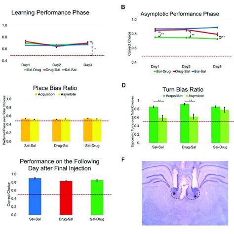 Schematic Of Selected Afferent Bidirectional And Efferent Pathways Download Scientific