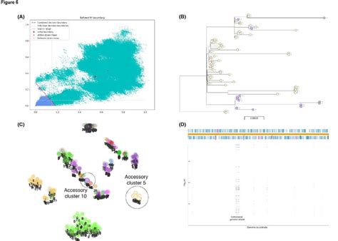 Poppunk Analysis Of Neisseria Gonorrhoeae A Result Of Download Scientific Diagram