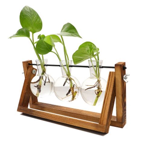 Badu Bg Настолна стъклена сеялка Ваза с крушка Въздушно растение Терариум с дървена стойка за