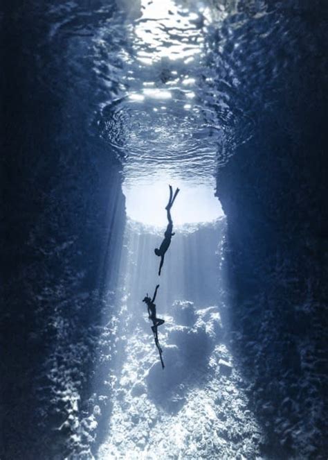 Pin Von 𖡻𝒟𝒶𝓇𝓀𝓃𝑒𝓈𝓈 ℓ ᵛᴱ𖡻 Auf Underwater Naturbilder Unterwasserfotografie Foto Poster
