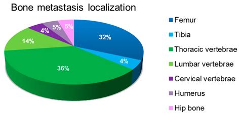 Anatomical Site Of Bone Metastasis Download Scientific Diagram