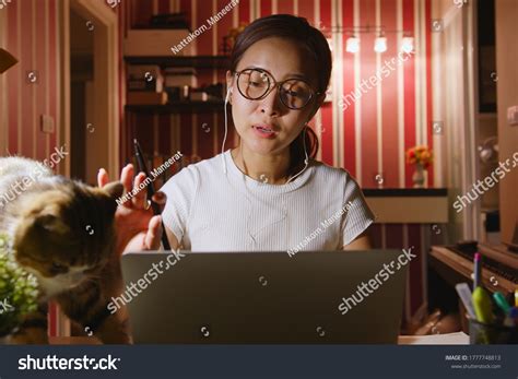 Cat Interrupt Woman Laptop Over 24 Royalty Free Licensable Stock