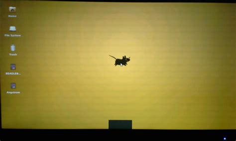 Beaglebone Black With Ubuntu Robotic Controls