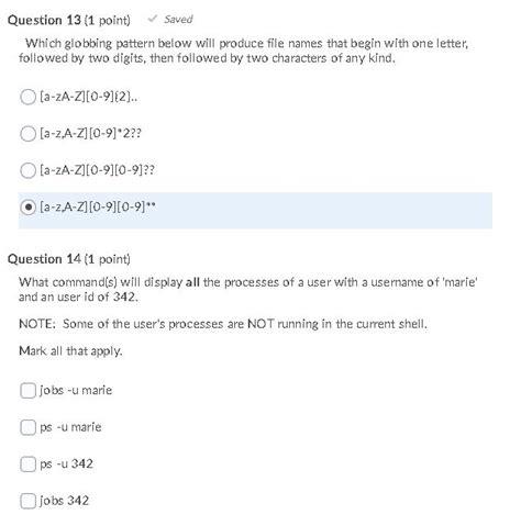 Solved Question 13 1 Point Saved Which Globbing Pattern