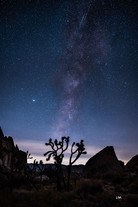 Chasing The Milky Way In Joshua Tree National Park — Wuli Times