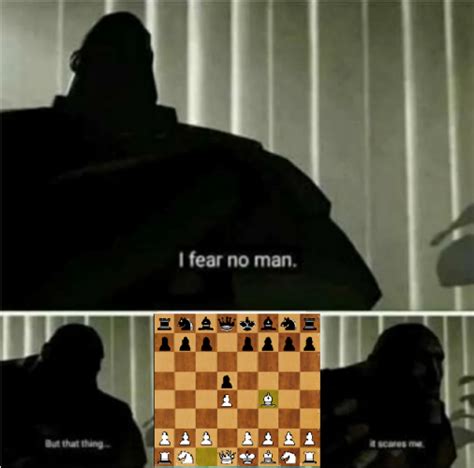 Chess Memes Chessentials