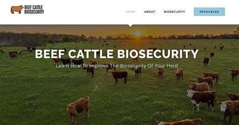 beef cattle biosecurity website