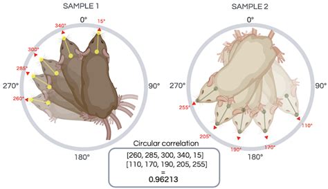 Circular Statistics Mixin — Simba 0 0 2 Documentation