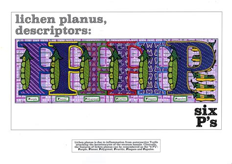 Layers Of Epidermis Mnemonic