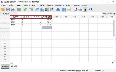 Spss数据文件的建立—创建与导入方法演示（上） Ibm Spss Statistics 中文网站