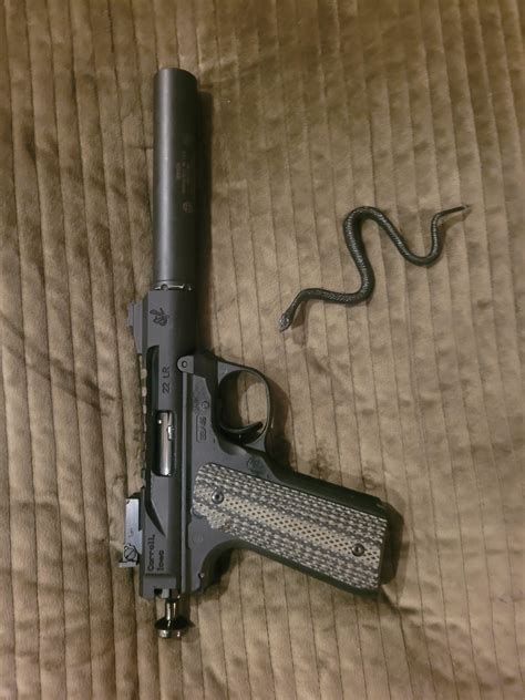 Mini Mamba Monday R Ruger