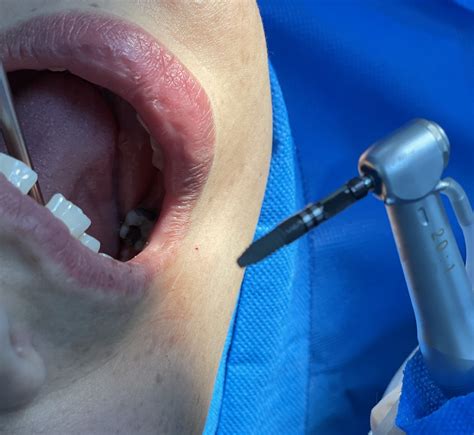 مقالات دکتر مرتضی قادری