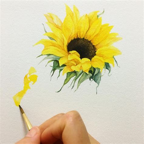 어제 파레트 빈곳 채워주다가 노란색 물감이 쭈욱 나오는 바람에 아까워서 해바라기 해바라기 그리는 이유가 너무 현실적이야 🤢 수채화 수채화그림 수채화