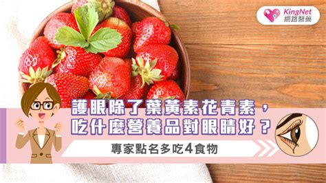 護眼除了葉黃素／花青素，吃什麼營養品對眼睛好？專家點名多吃4食物健康 Kingnet國家網路醫藥