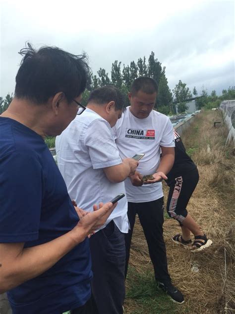 协会领导与专家考察莒县康宇中药材种植专业合作社中华大蟾蜍繁育养殖基地 山东省中药材行业协会